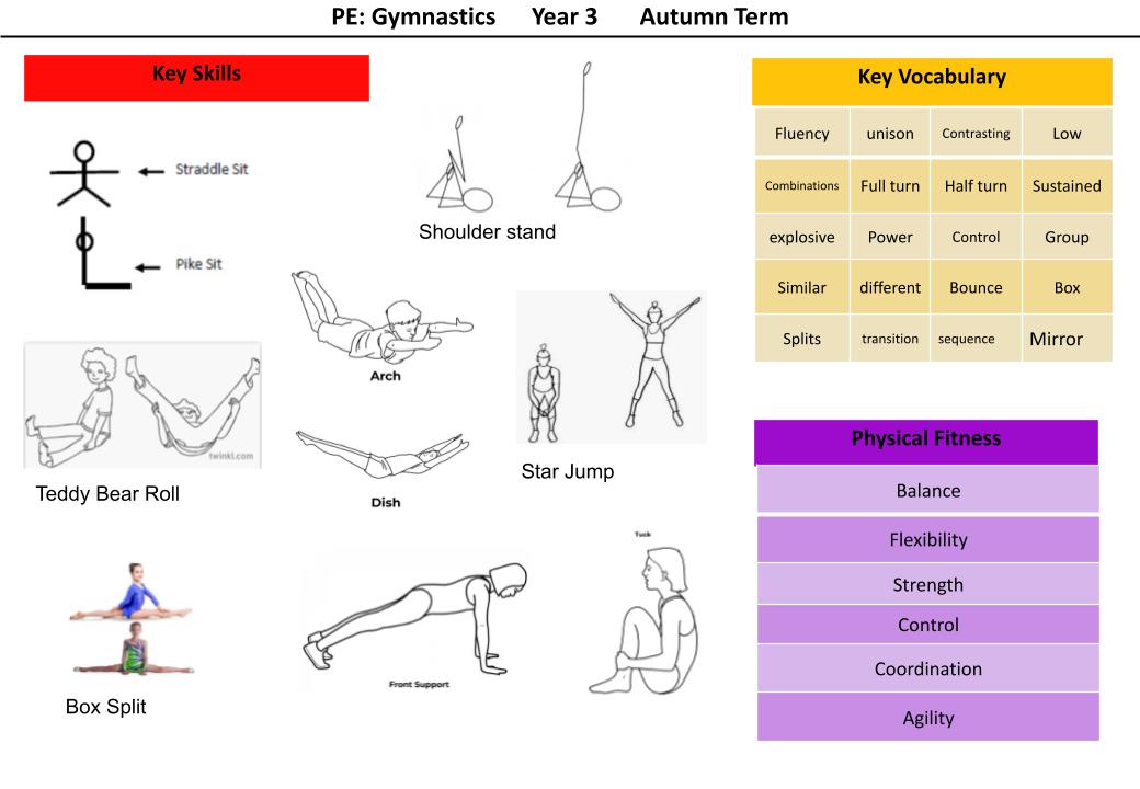 Curriculum Maps - Denbigh Community Primary School - Wallsend